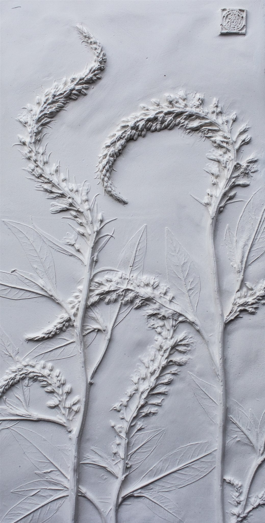 All Botanical Casts, Nature Inspired Botanical Decor in Plaster ...